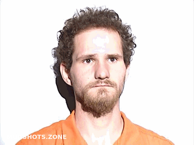 GOTTSCHALK JOSHUA ALLEN 11/29/2023 - Lucas County Mugshots Zone