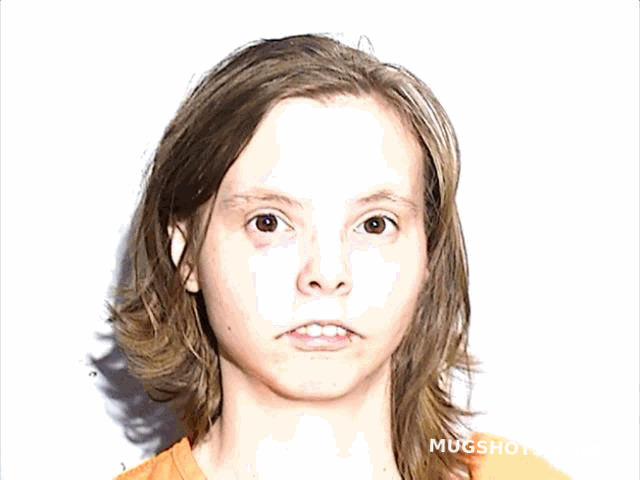 GROSS DORINA E 12/06/2023 - Lucas County Mugshots Zone