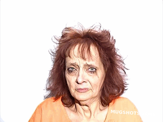 Heverly Lori Ann 12192023 Lucas County Mugshots Zone