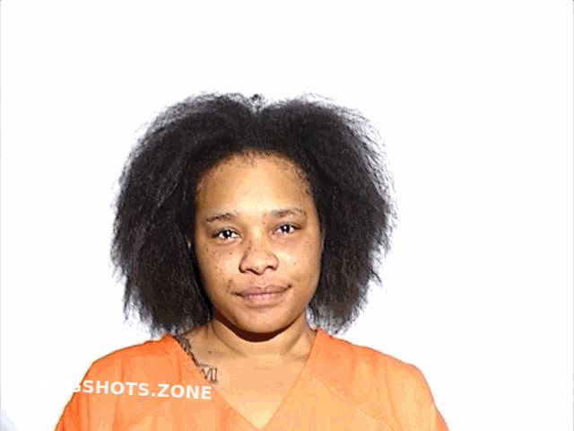 WILLIAMS MAKAILA 12/21/2023 - Lucas County Mugshots Zone