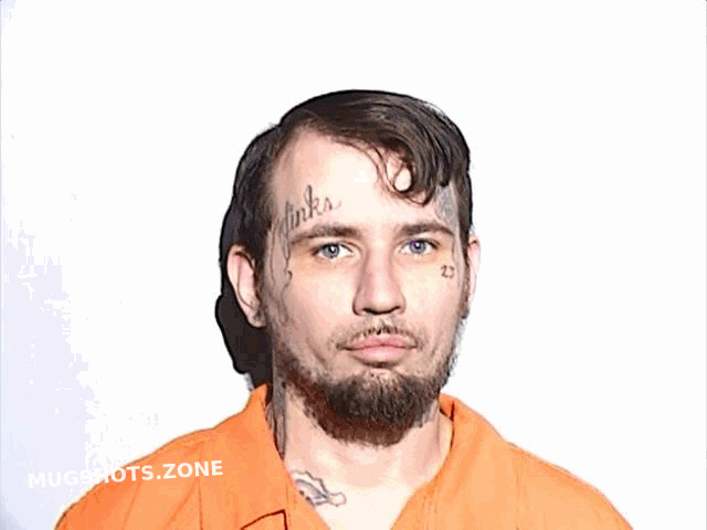 PACELLI JUSTIN JAY 12/27/2023 - Lucas County Mugshots Zone