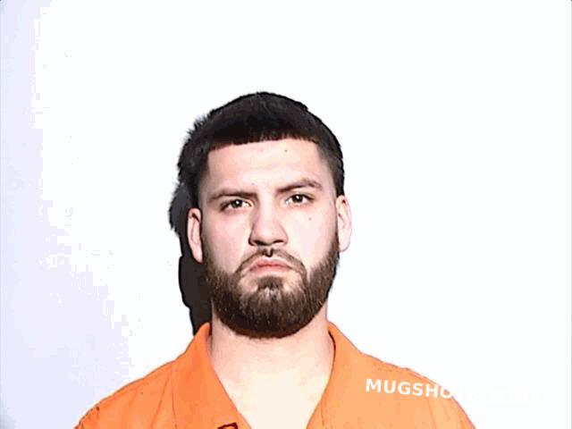 DESCANT DYLAN REX 12/31/2023 - Lucas County Mugshots Zone