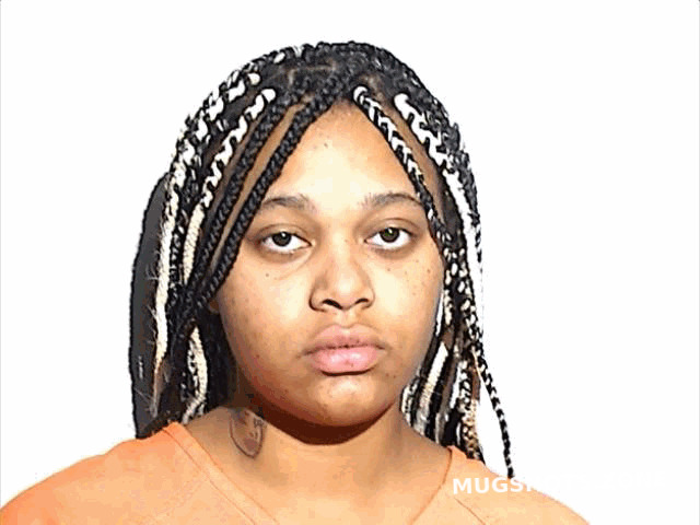 HERSEY ALIZI RANAE 01/01/2024 - Lucas County Mugshots Zone HERSEY ALIZI RANAE 01/01/2024 - Lucas County Mugshots Zone