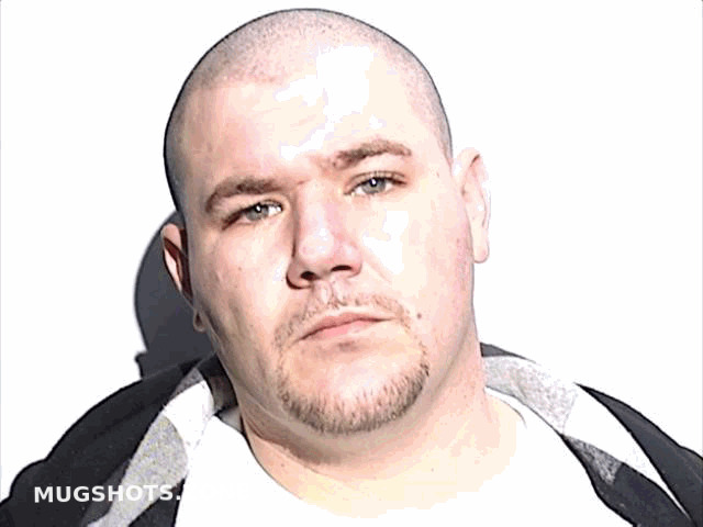 REHDER ALEXANDER RYAN 01/04/2024 - Lucas County Mugshots Zone