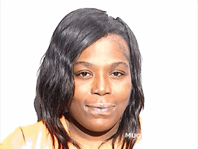 Ervin Shantae R 01 05 2024 Lucas County Mugshots Zone