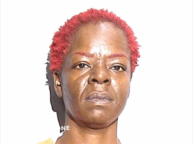 PHILLIPS SHALONDA MARIE 01/08/2024 - Lucas County Mugshots Zone