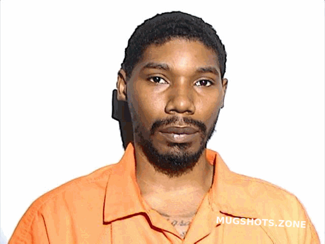 PAYNE DAVON DECARLOS 01/10/2024 - Lucas County Mugshots Zone