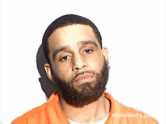 BROWN DAVALON S 01/11/2024 - Lucas County Mugshots Zone