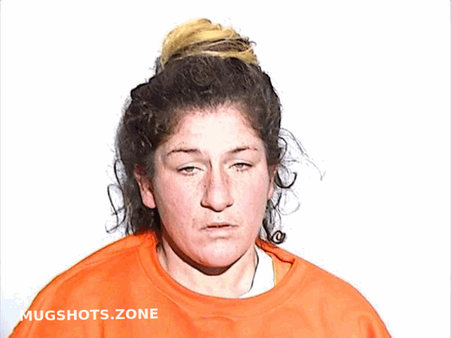 WARD JODI C 01/12/2024 - Lucas County Mugshots Zone