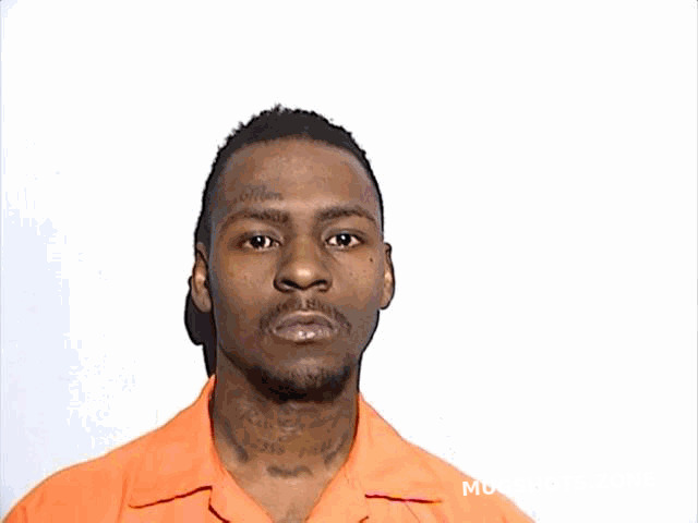 WILLIAMS TYSHAWN A 01/13/2024 - Lucas County Mugshots Zone