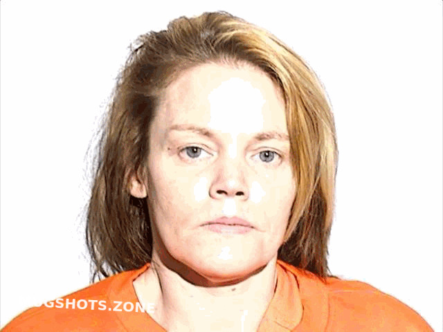 OCONNOR SARA NICOLE 01/16/2024 - Lucas County Mugshots Zone