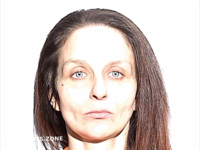 PHILLIPS KAYLIE JEAN 01/22/2024 - Lucas County Mugshots Zone