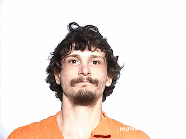 FIANDER KENNETH CALVIN 01/23/2024 - Lucas County Mugshots Zone