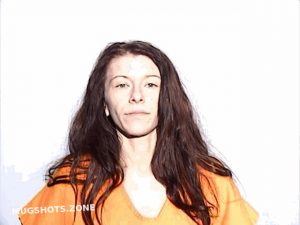 SHEETS-WEILAND MEGAN LYNN 01/24/2024 - Lucas County Mugshots Zone