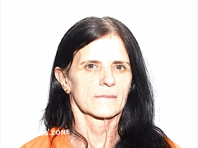 MONAGHAN ANDREA SUSAN 01/30/2024 - Lucas County Mugshots Zone