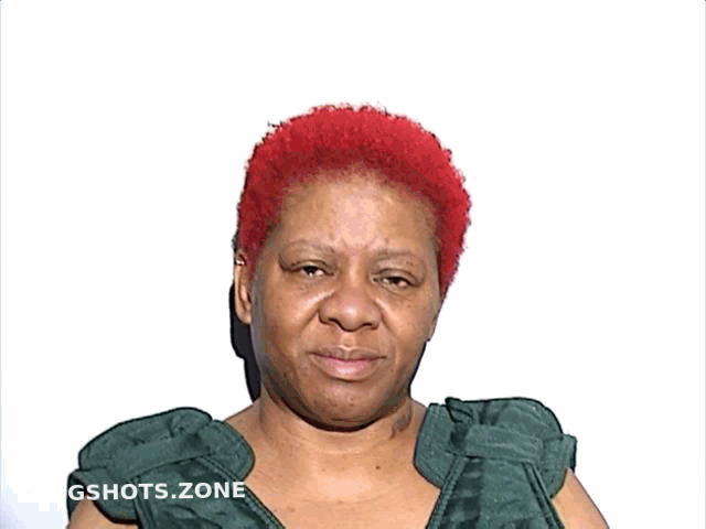 LIGHTNER MICHELLE A 02/01/2024 - Lucas County Mugshots Zone