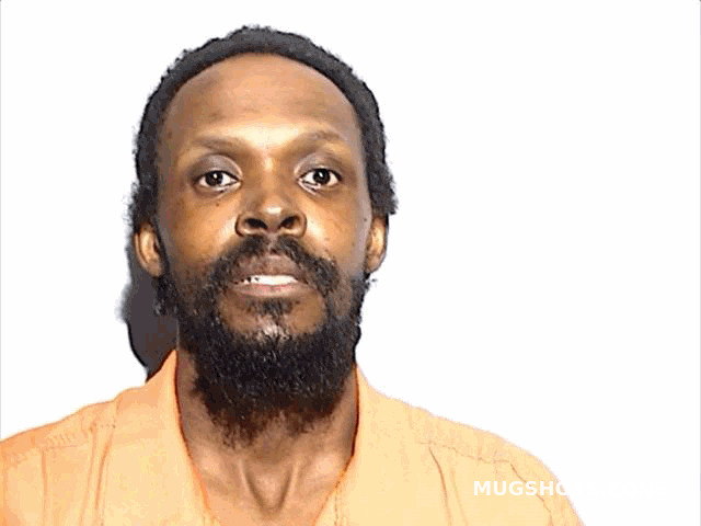 Mcgowan Raymond Michaels 02022024 Lucas County Mugshots Zone