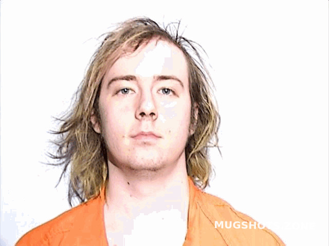 SLAGLE DYLAN AUSTIN 02/03/2024 - Lucas County Mugshots Zone