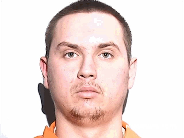 NYE AUSTIN JARRED 02/04/2024 - Lucas County Mugshots Zone
