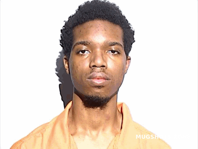 MCLENDON CAMERON ISAIAH 02/07/2024 - Lucas County Mugshots Zone