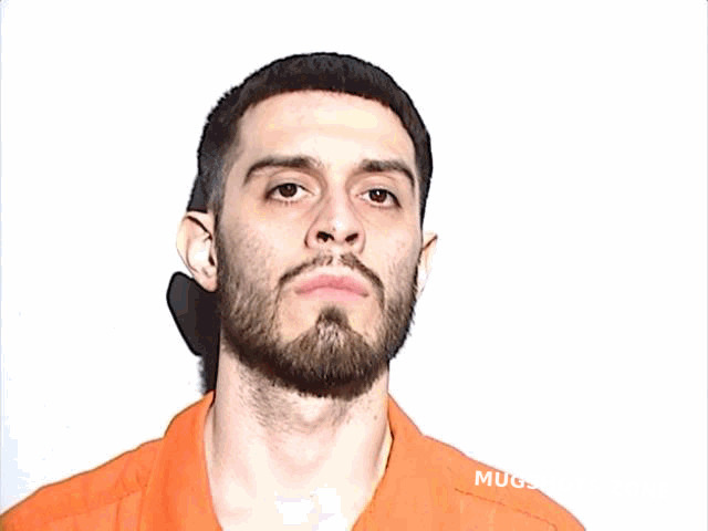 GARCIA DOMINIC SEBASTIAN 02/12/2024 - Lucas County Mugshots Zone