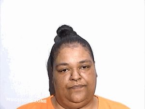 MCMILLIAN COLLEEN RENEE 02/18/2024 - Lucas County Mugshots Zone