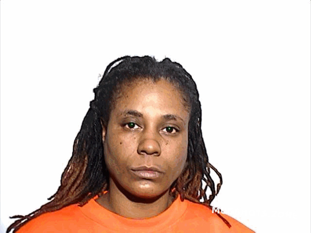 NEWBY PATRICIA TIARA 02/20/2024 - Lucas County Mugshots Zone