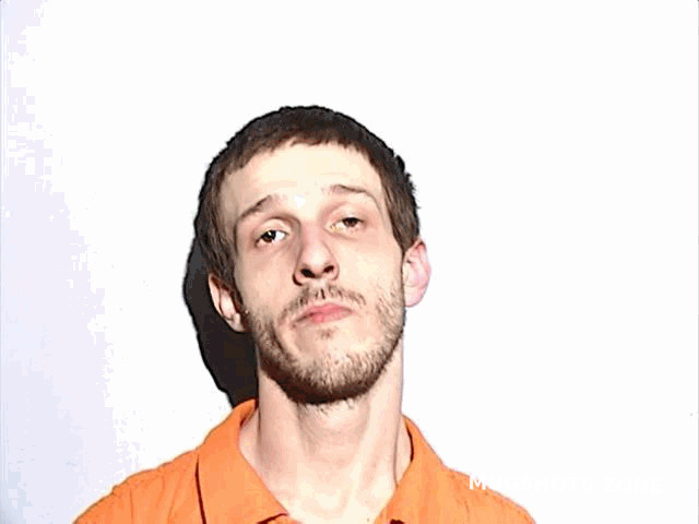 STALLINGS CHANCE WILLIAM 02/20/2024 - Lucas County Mugshots Zone