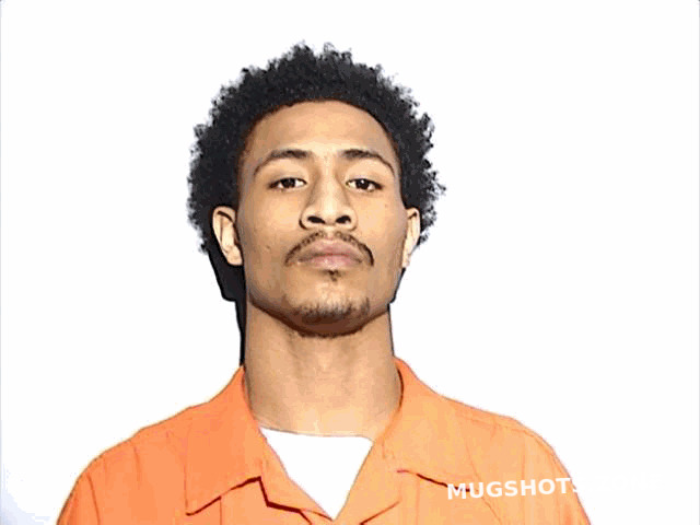 JOHNSON DEVIN KESHAWN 02/24/2024 - Lucas County Mugshots Zone