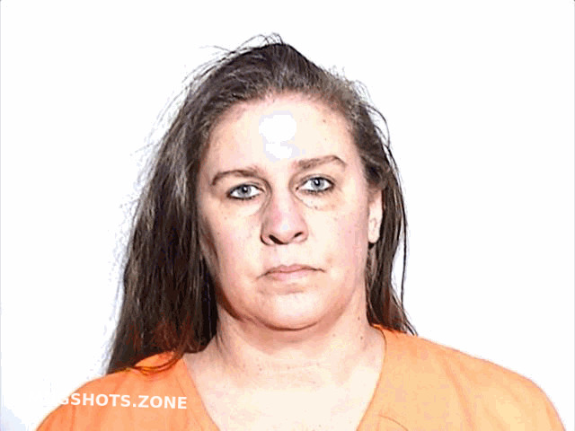WOLFE BRANDY NICHOLE 02/26/2024 - Lucas County Mugshots Zone