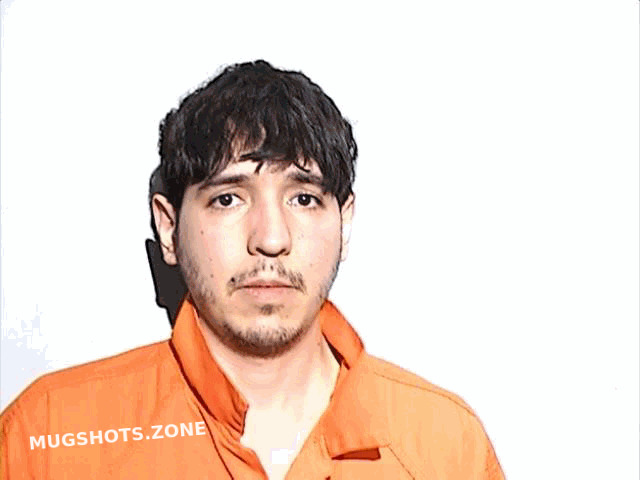 BERNAL DORIAN CHRISTOPH 02/29/2024 - Lucas County Mugshots Zone