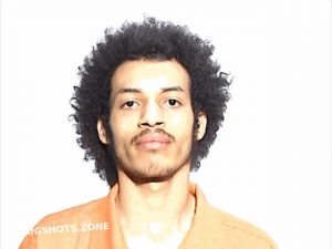 MANUEL CHRISTIAN CINTRON SANTIAGO 03/02/2024 - Lucas County Mugshots Zone