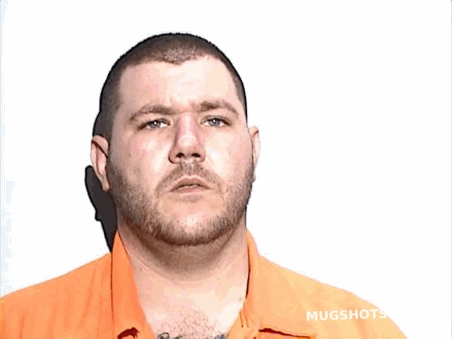 REHDER ALEXANDER RYAN 03/05/2024 - Lucas County Mugshots Zone