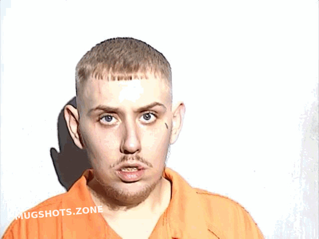 MCGEE AIDAN DONALD 03/05/2024 - Lucas County Mugshots Zone