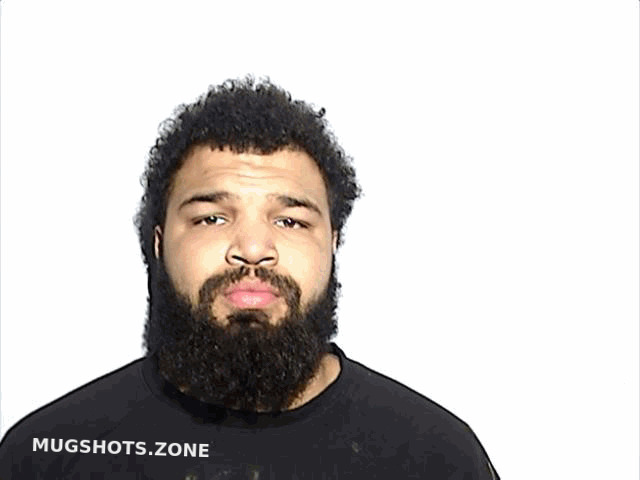 VASQUEZ TYLER LEE-MECIO 03/08/2024 - Lucas County Mugshots Zone