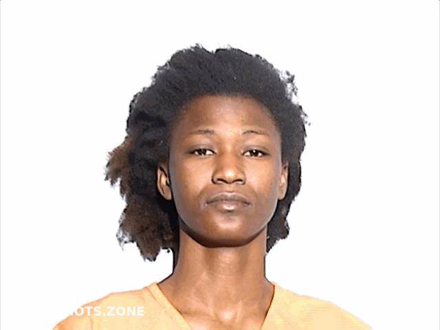 AMISON ARISS AIYANNA 03/09/2024 - Lucas County Mugshots Zone