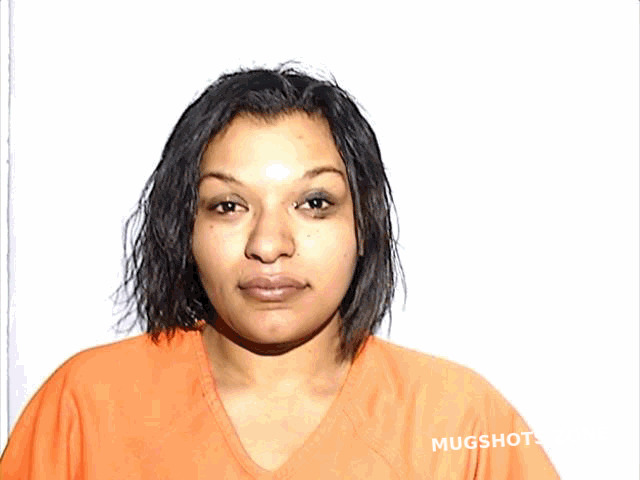 MOYER BRIANNA LANAE 03/09/2024 - Lucas County Mugshots Zone