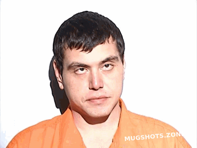 FAWVER BRANDON LEE 03/10/2024 - Lucas County Mugshots Zone
