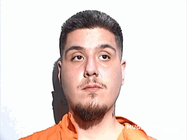 TREMMEL EVERETT PAUL 03/13/2024 - Lucas County Mugshots Zone