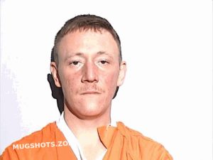 WINTERS NICHOLAS ALLEN 03/14/2024 - Lucas County Mugshots Zone