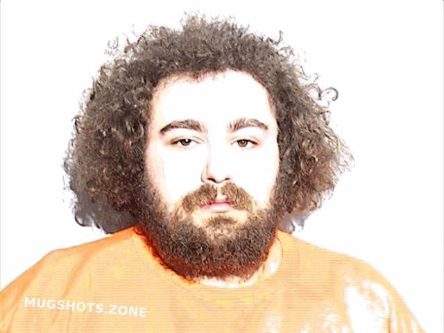 MCLAUGHLIN ELI MICHAEL 03/14/2024 - Lucas County Mugshots Zone