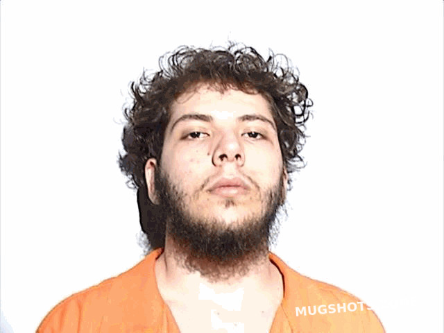 MARTINSON BRAYDEN ALEXANDER-KEEGAN 03/23/2024 - Lucas County Mugshots Zone