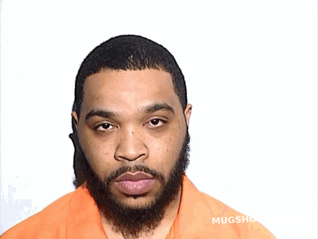 ELLIS TRACY LYNELL 03/25/2024 - Lucas County Mugshots Zone