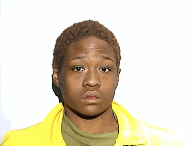 SMITH EFRAMISHA GRACIE-LEE 03/27/2024 - Lucas County Mugshots Zone
