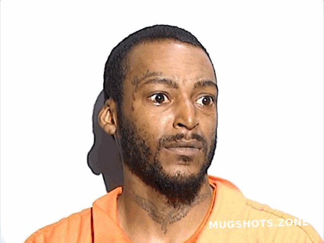 BLANKS DEDRIC SCOT 03/30/2024 - Lucas County Mugshots Zone