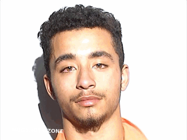 LANG DAVON KARL 04/03/2024 - Lucas County Mugshots Zone