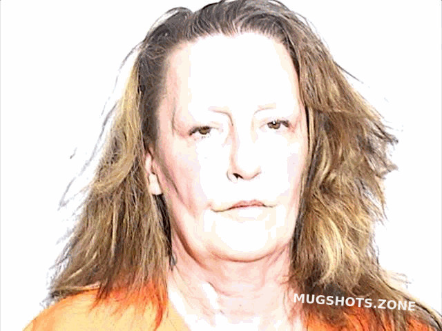 RIDGLEY KELLI ANN 04/03/2024 - Lucas County Mugshots Zone