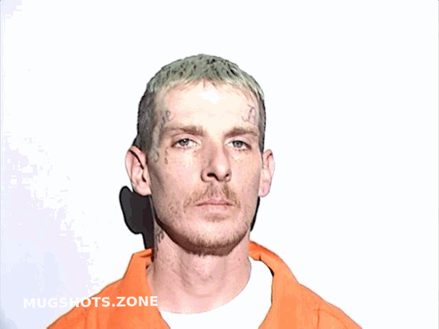 COULTER ROBERT ALLEN 04/11/2024 - Lucas County Mugshots Zone