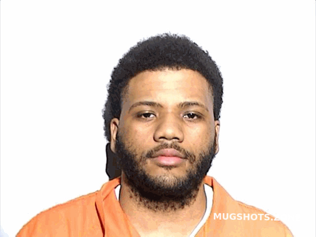TAYLOR DAVID ELLIOT 04/12/2024 - Lucas County Mugshots Zone