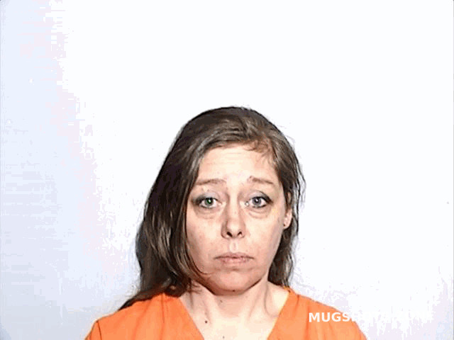 TROXELL PATRICIA MARIE 04/13/2024 - Lucas County Mugshots Zone